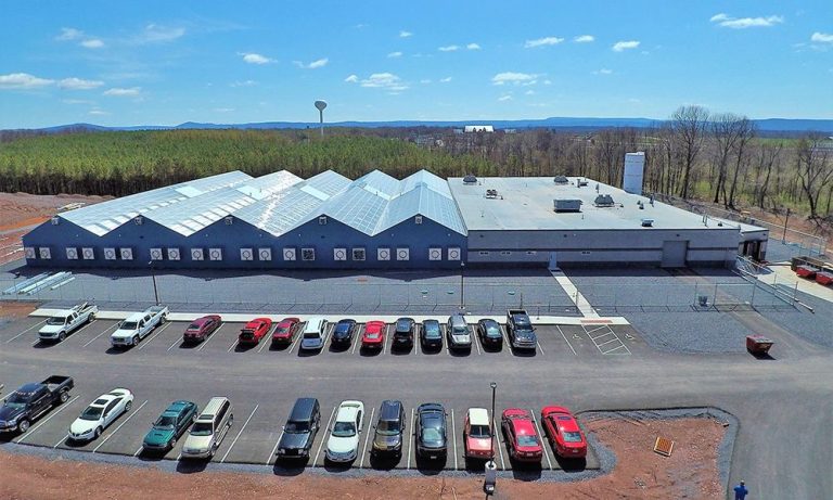 Palmer Construction | Cannabis & Industrial Construction Experts